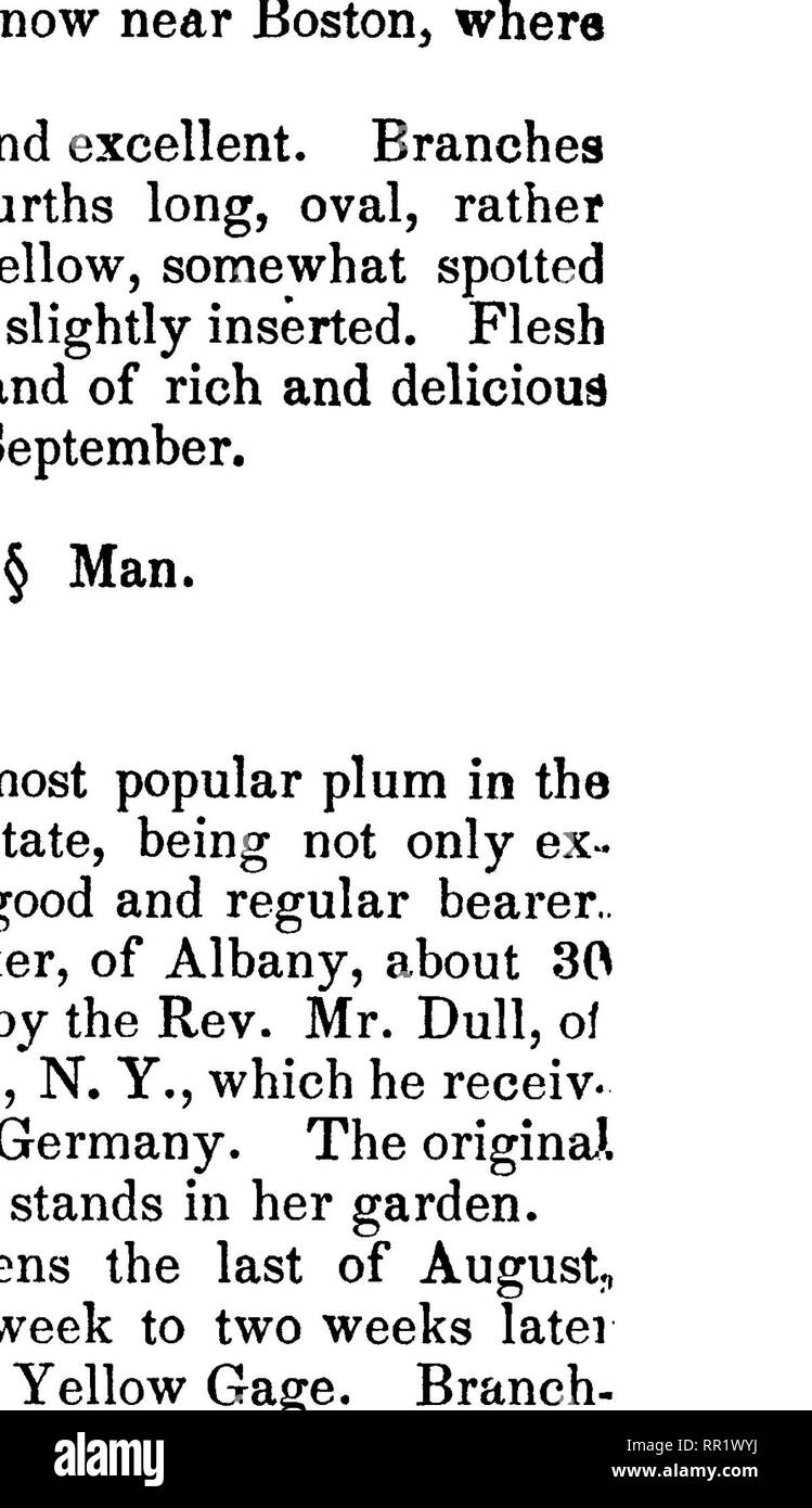. The fruits and fruit trees of America;. Fruit-culture; Fruit. 274 THE ...