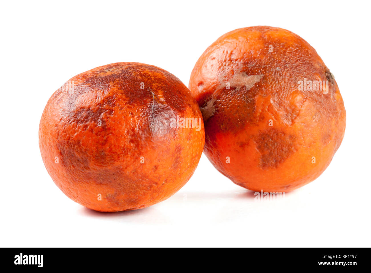 two damaged tangerines isolated on white background Stock Photo - Alamy
