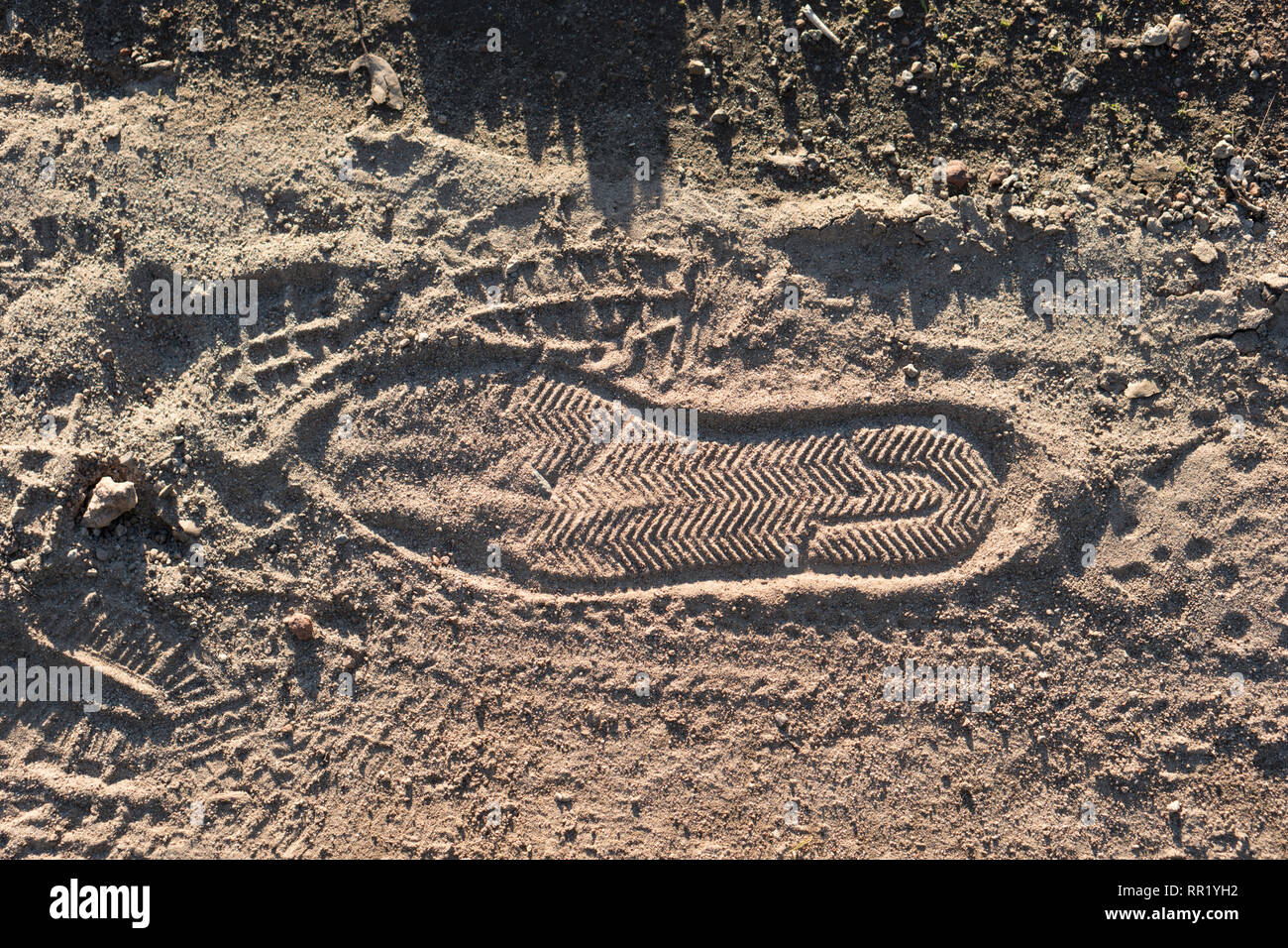 Shoe print in sandy soil, hiking trail closeup with bike tire and ...