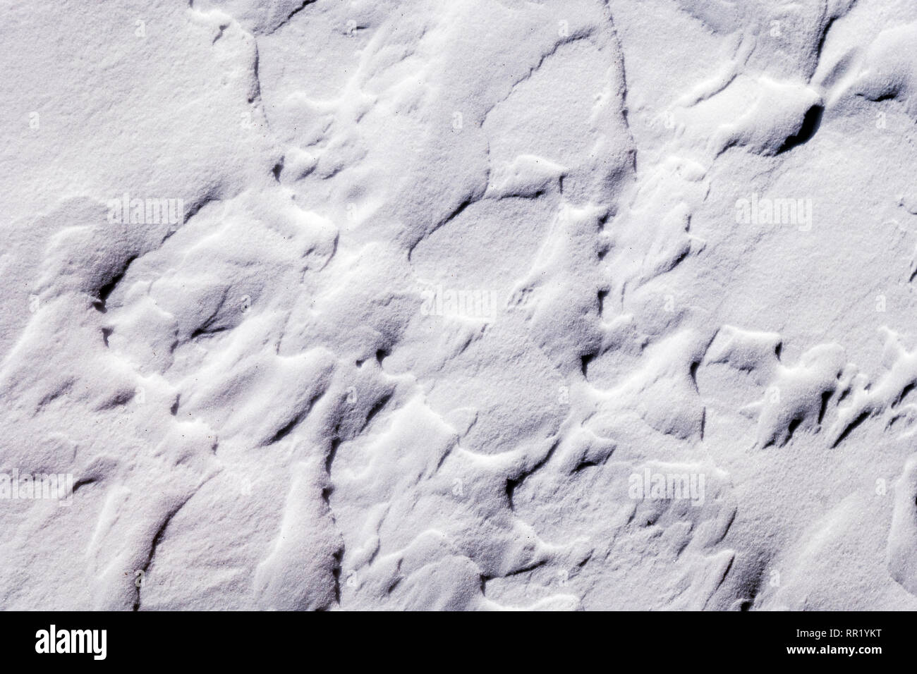 Close up of wind sculpted patterns in fresh snow Stock Photo - Alamy