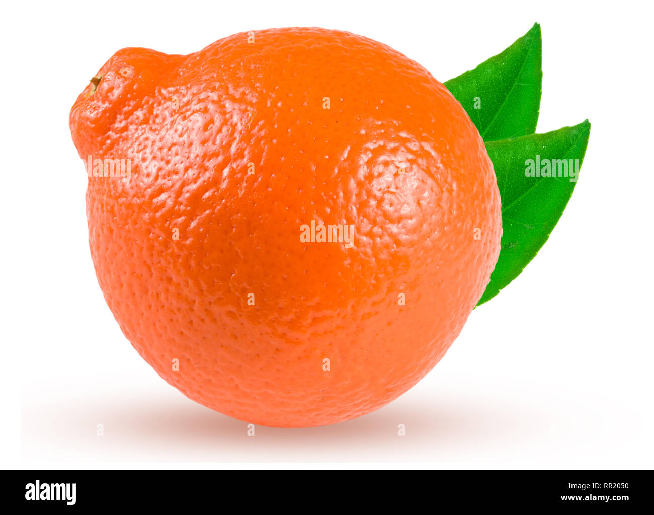 orange tangerine or Mineola with leaf isolated on white background ...