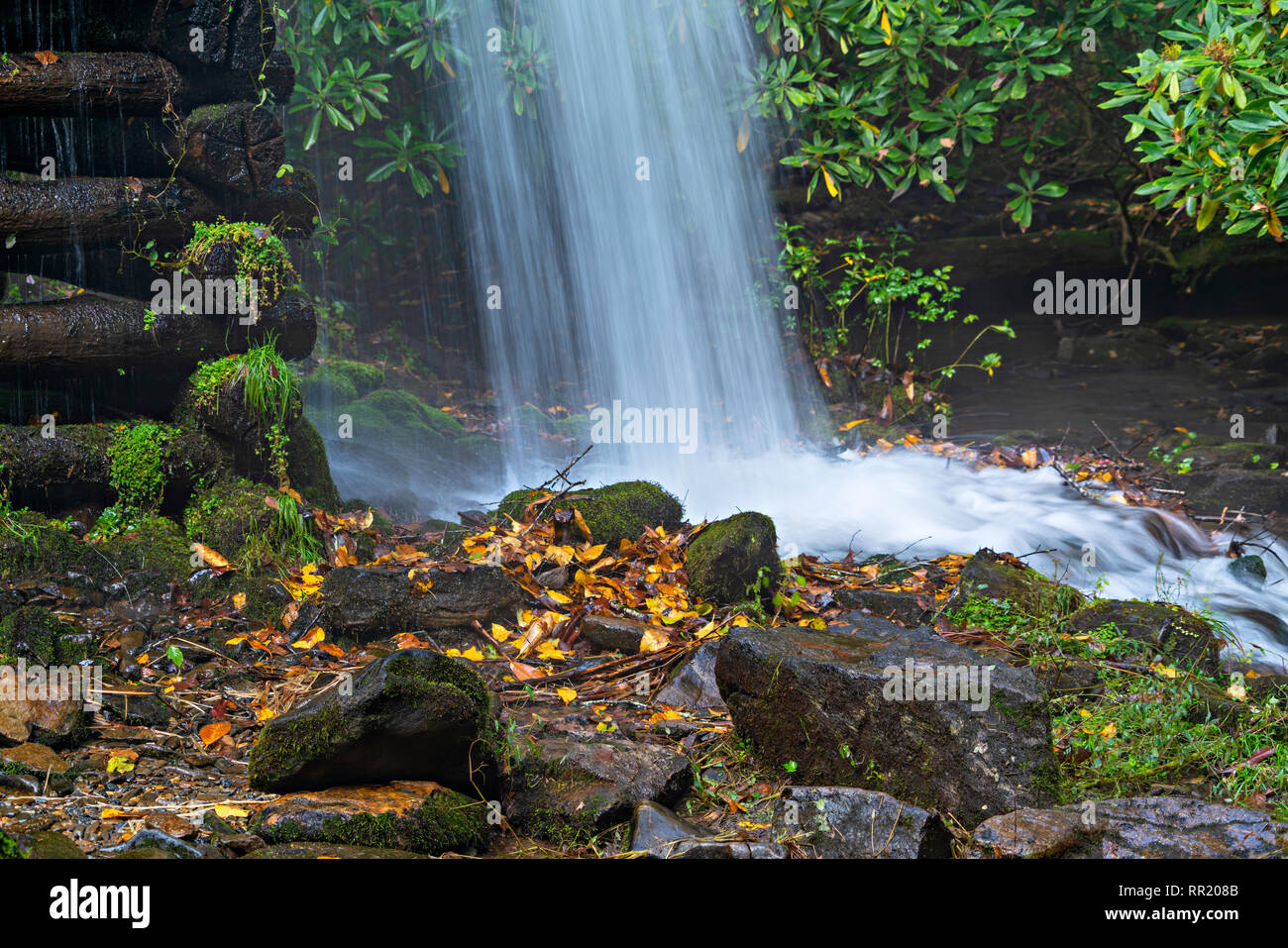 Autumn Leaves & Waterfall Stock Photo - Alamy