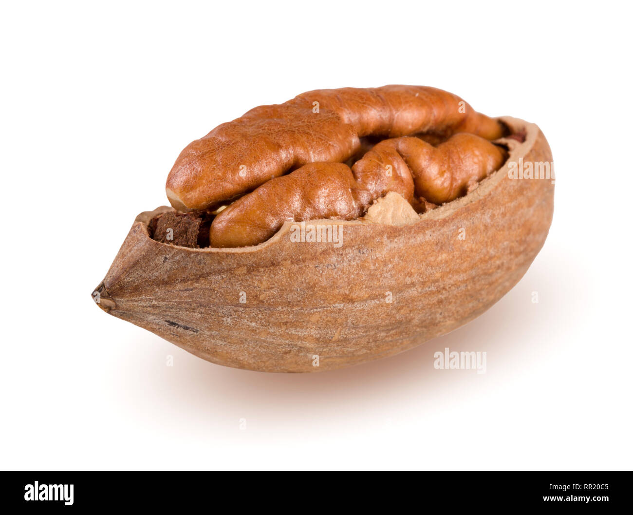 one pecan nuts isolated on white background Stock Photo - Alamy