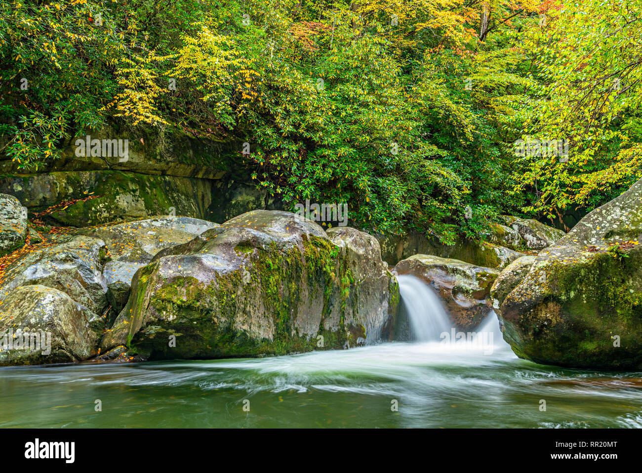 Midnight green color hi-res stock photography and images - Alamy