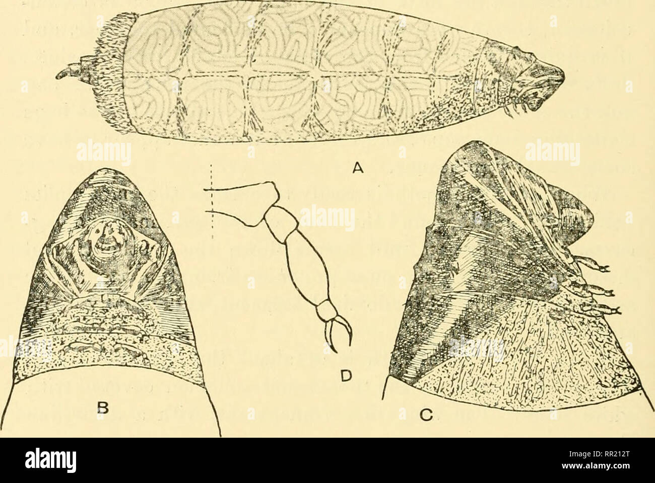 . African invertebrates : a journal of biodiversity research ...