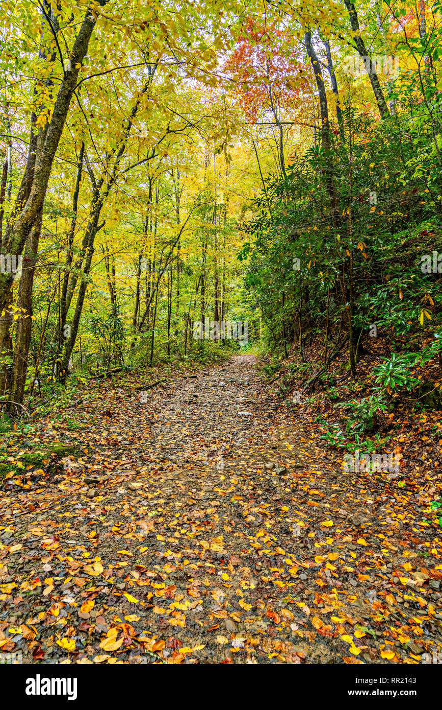 Soft trail hi-res stock photography and images - Alamy