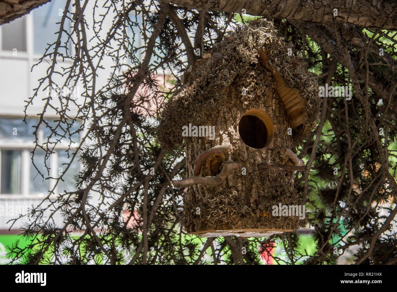 wooden birdhouse on a tree in the forest and park Stock Photo - Alamy