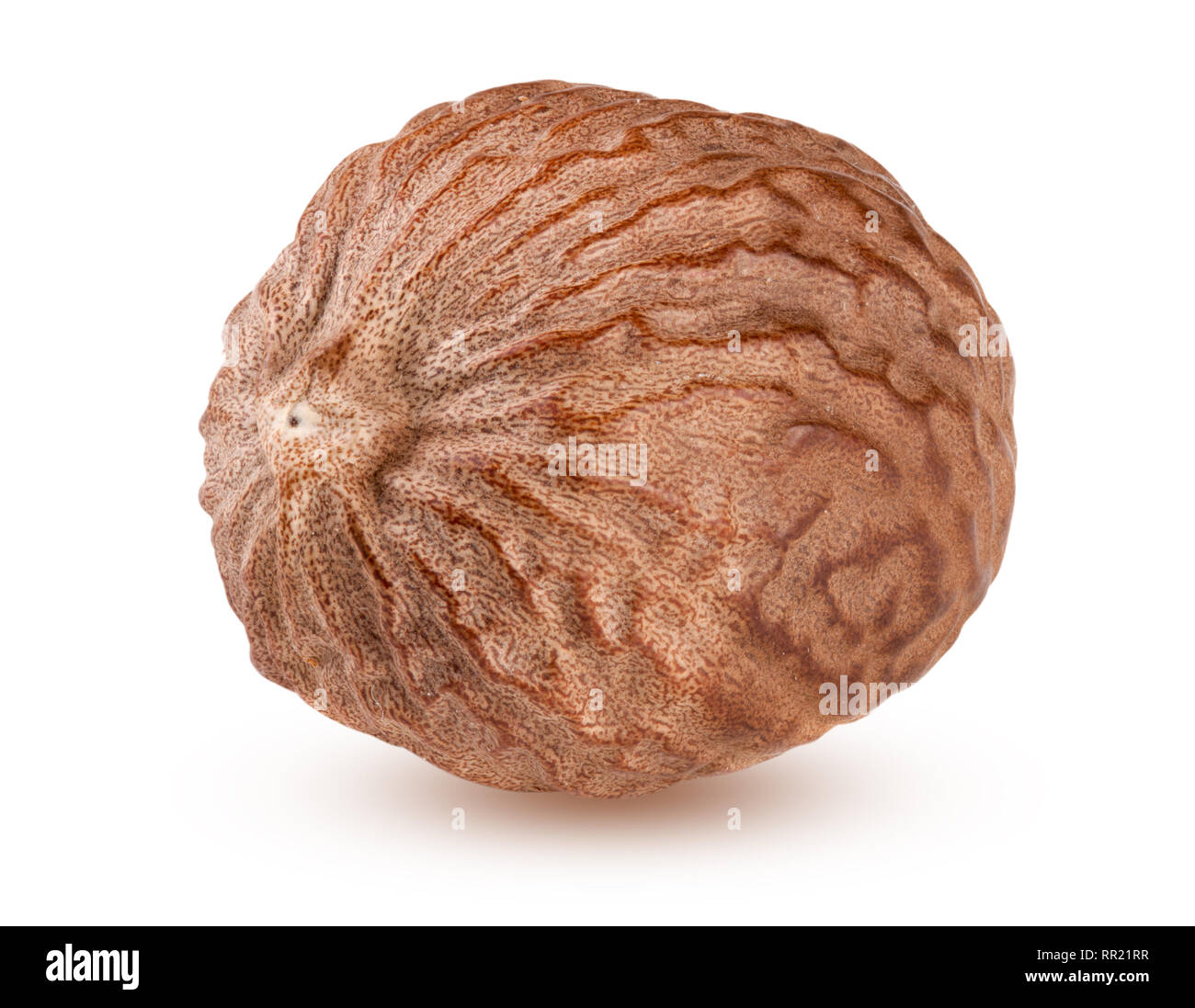 one nutmeg isolated on white background macro Stock Photo - Alamy