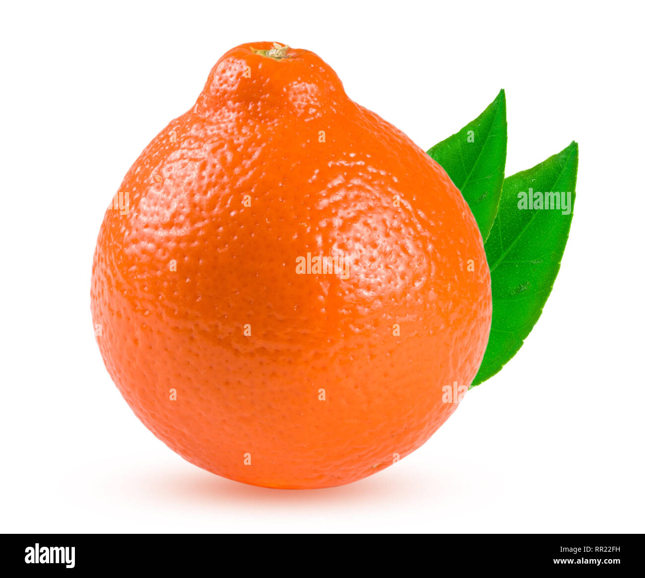 Mineola fruit tangelo hi-res stock photography and images - Alamy