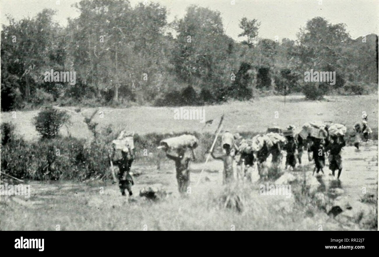 . After big game : the story of an African holiday. Hunting. lofdii ...