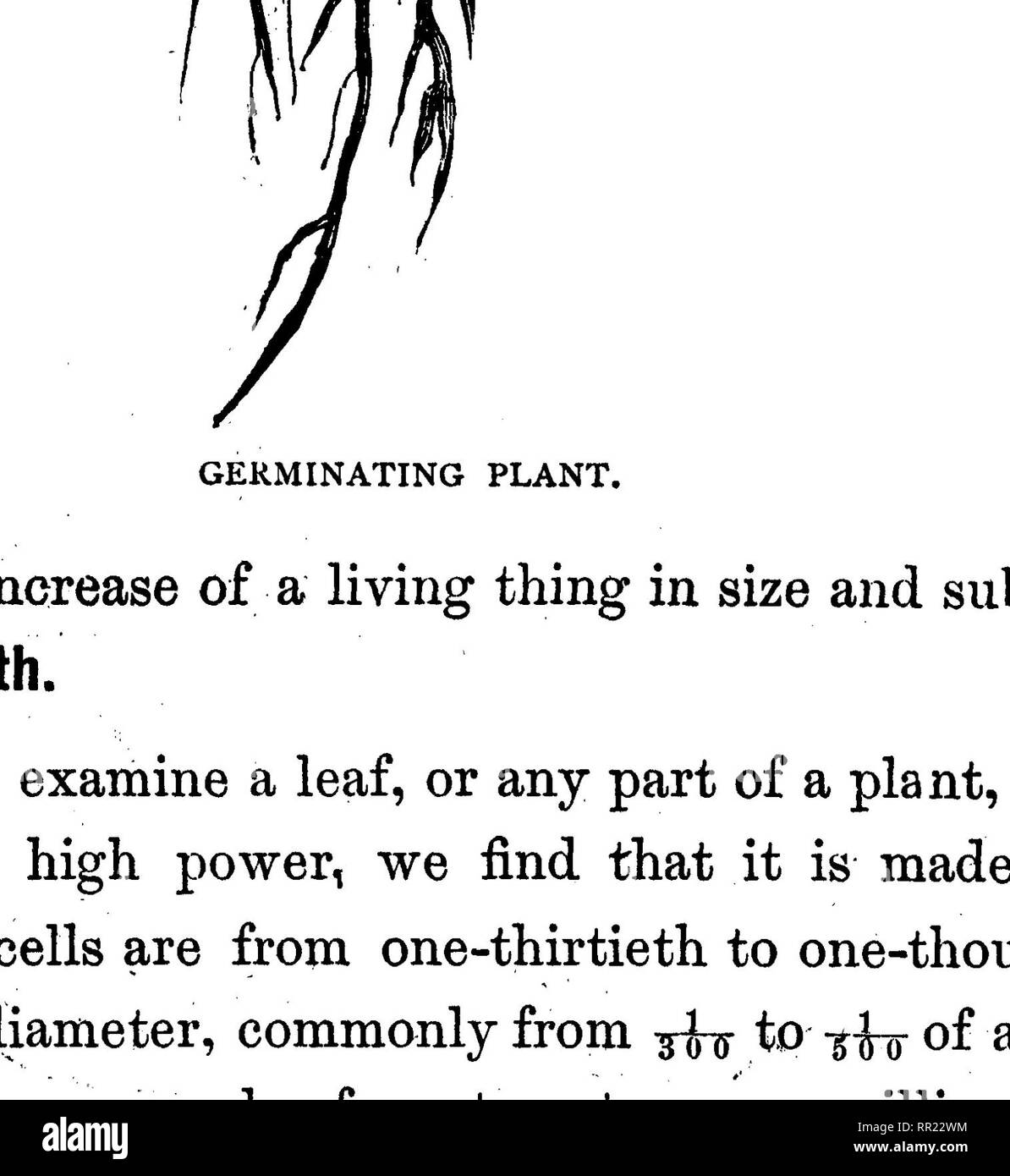 . A condensed botany;. Botany. 90 SEWALL'S BOTANY.. 144. The botanist ...