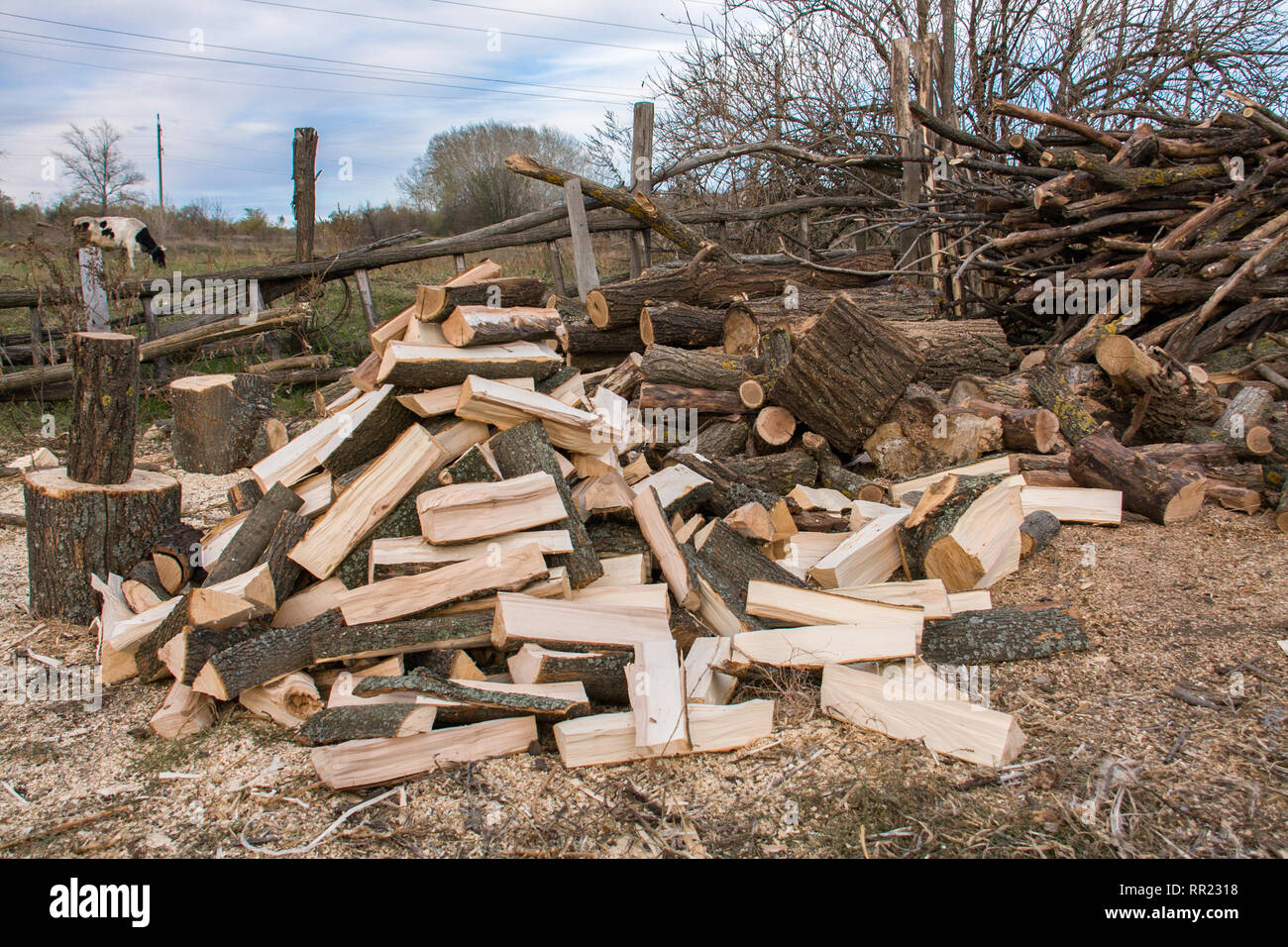 Log pile texture hi-res stock photography and images - Alamy