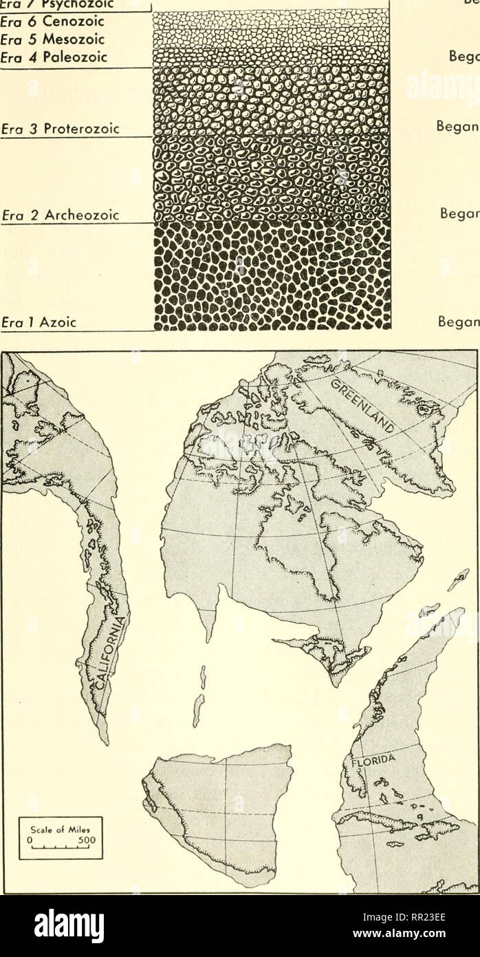 Cenozoic Era Earth