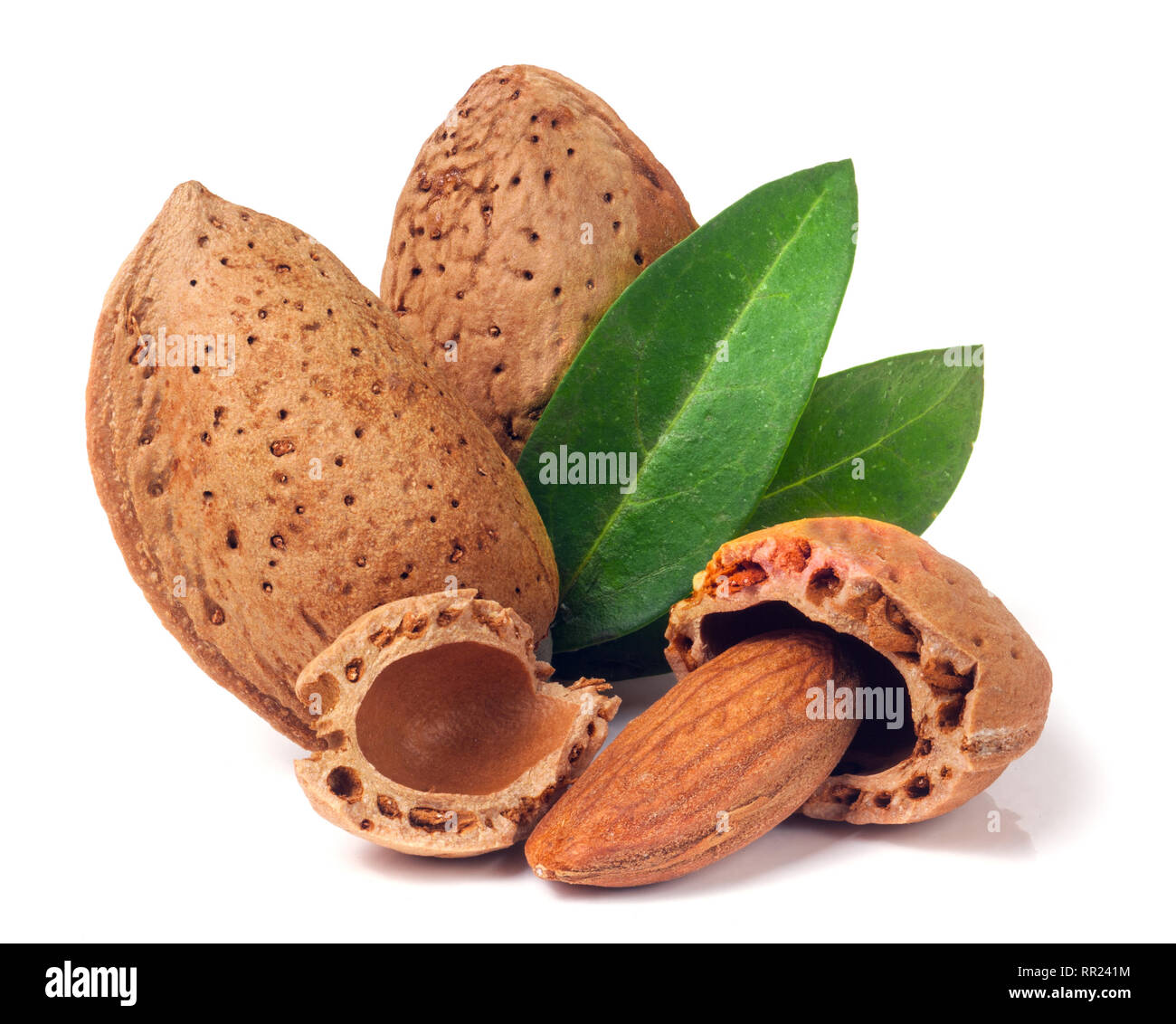 almonds in their skins and peeled with leaf isolated on white ...