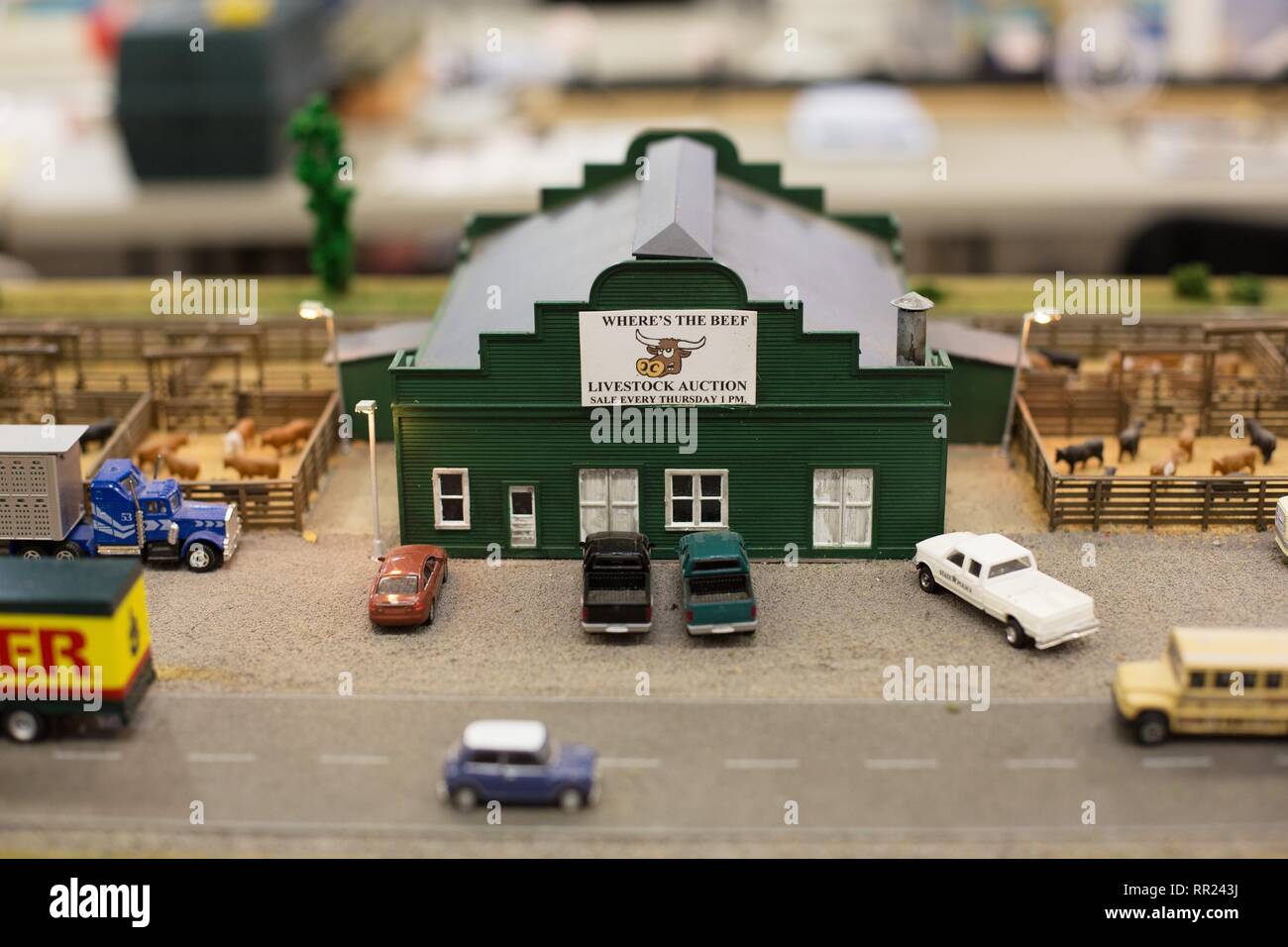 A tiny scale livestock auction Stock Photo - Alamy