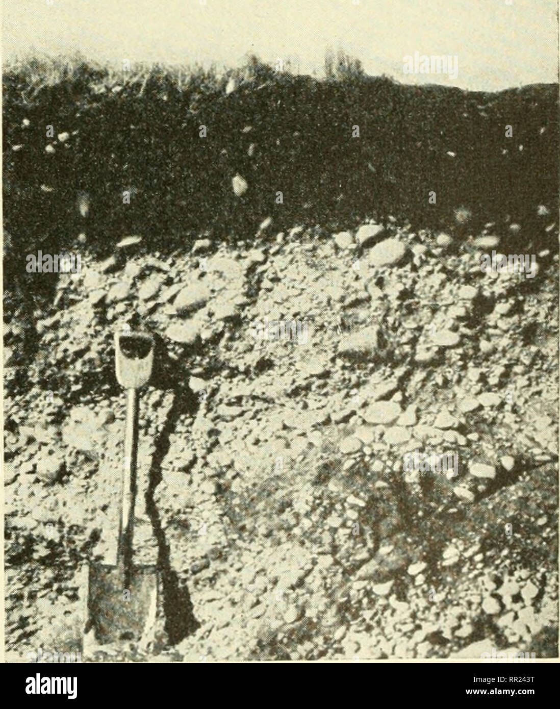 Overgrazing land hi-res stock photography and images - Alamy