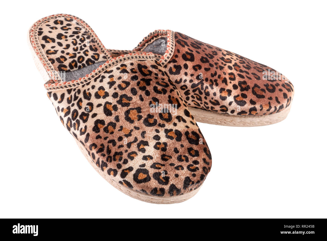 female domestic leopard slippers isolated on white background Stock ...
