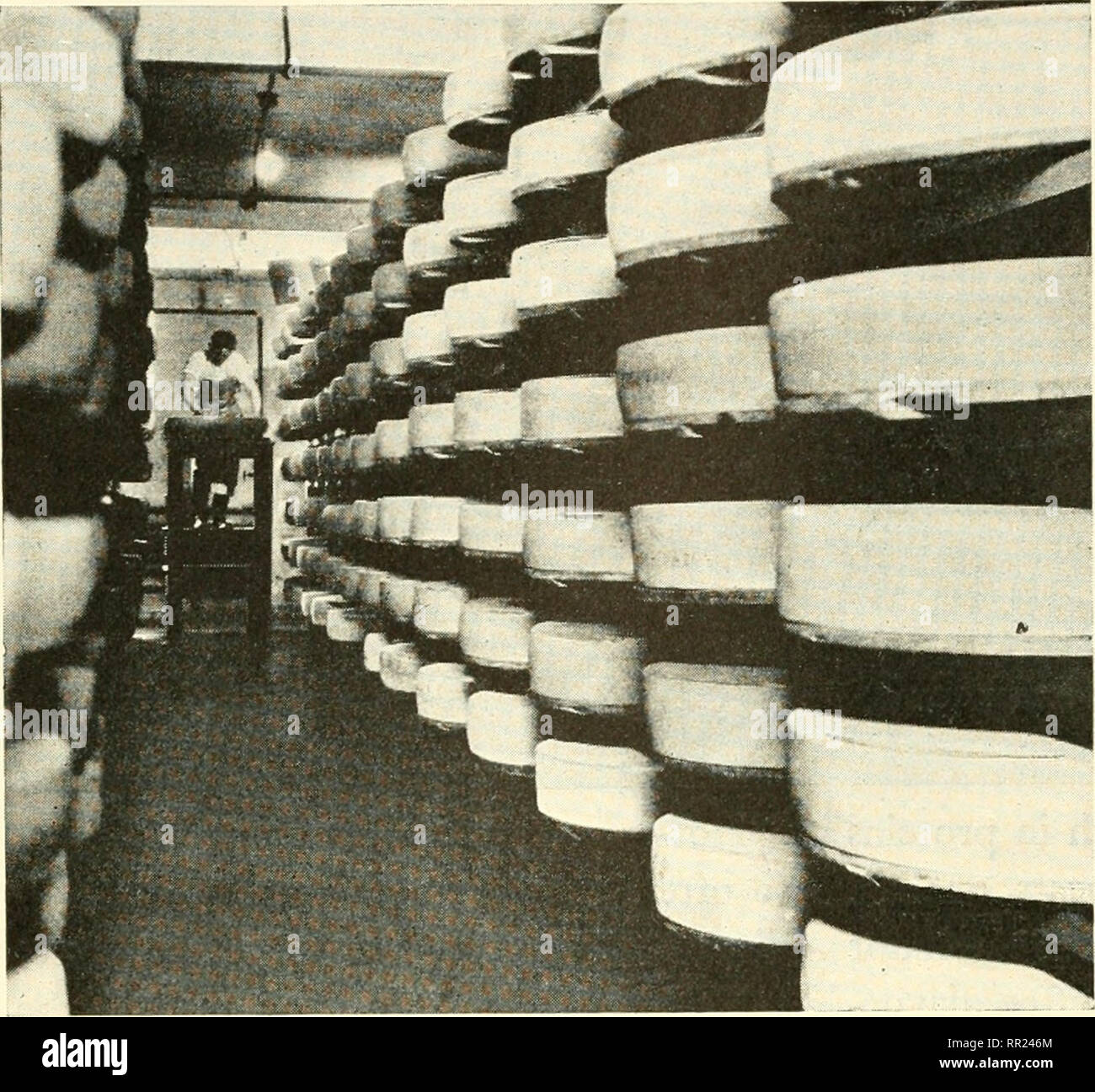 . Adventures with animals and plants. Biology. 3^4 How Living Things ...