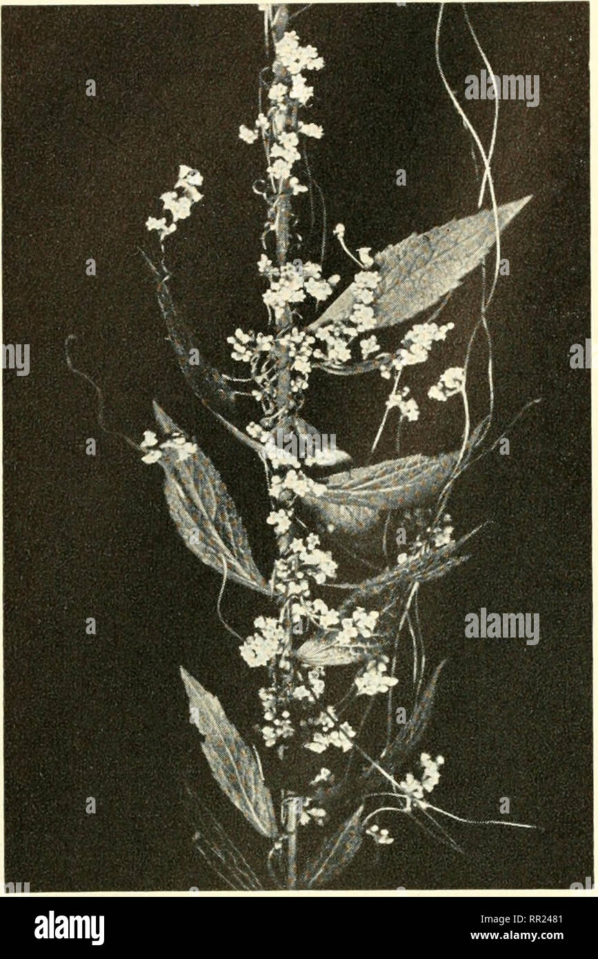 Dod 324 hi-res stock photography and images - Alamy