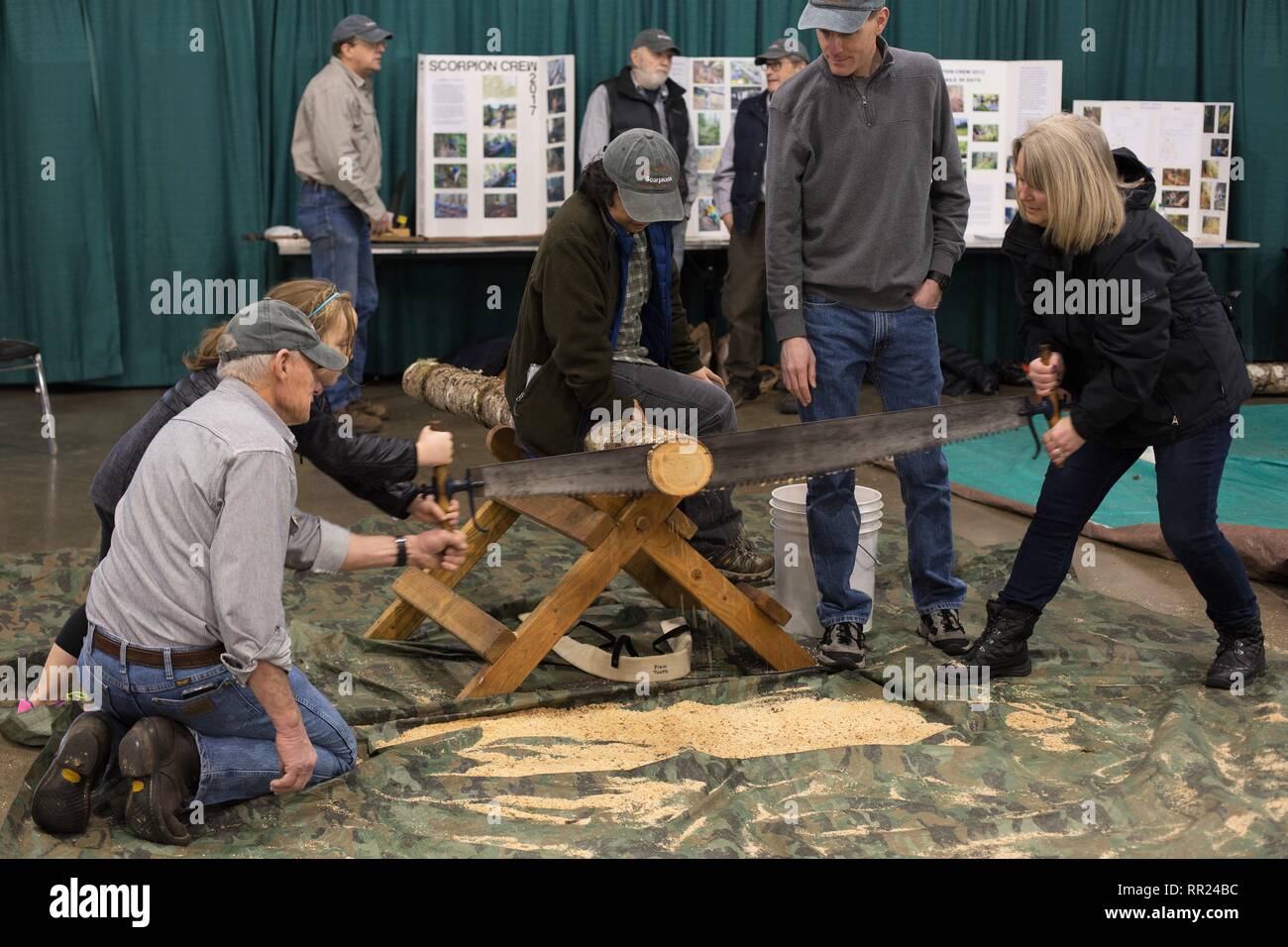 People working together to saw a log, at the Oregon Logging Conference ...