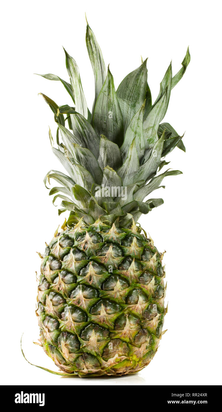 pineapple with leaves isolated on white background Stock Photo - Alamy