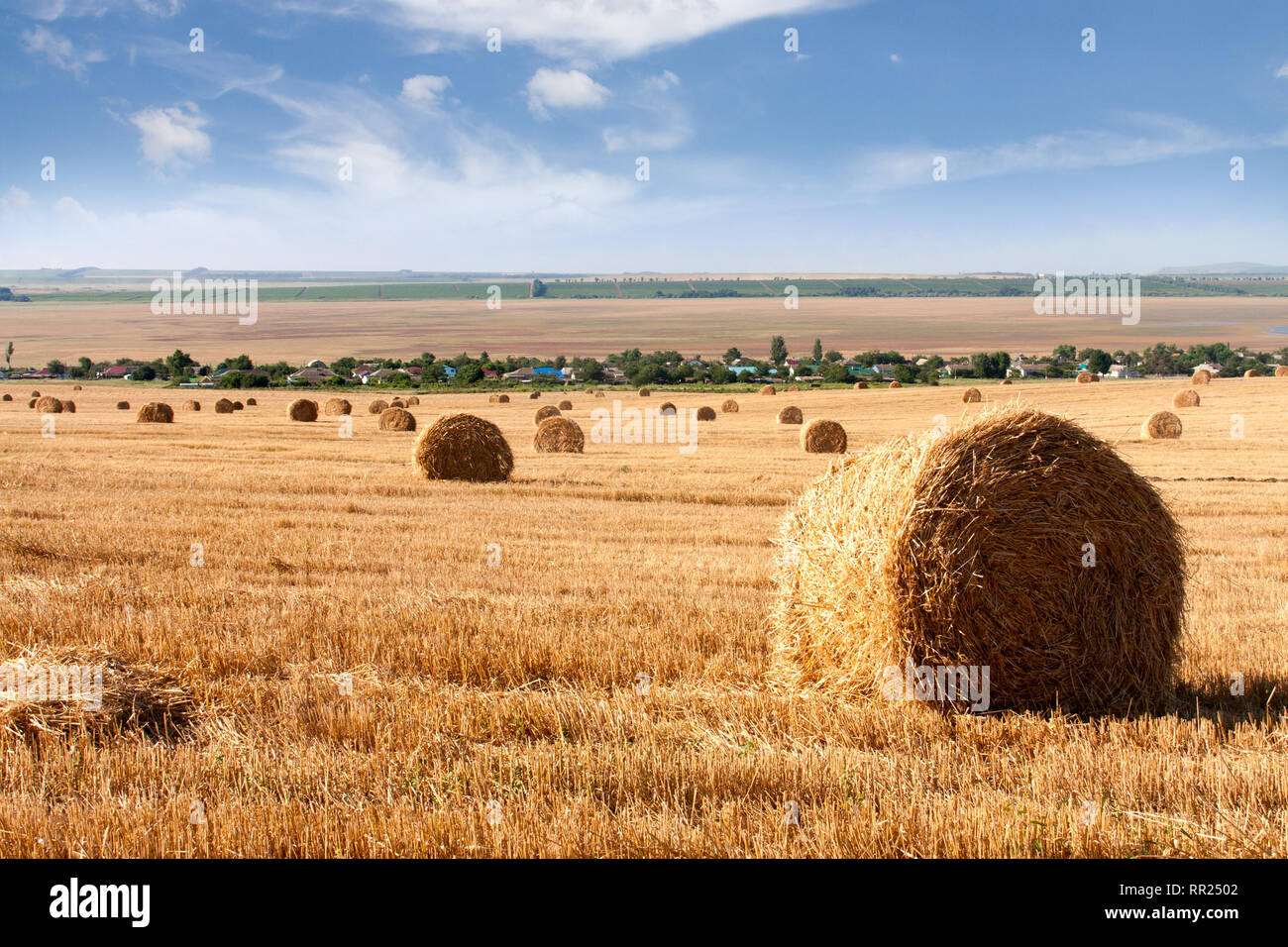 Summer Field with Hay Bales as background Stock Photo - Alamy
