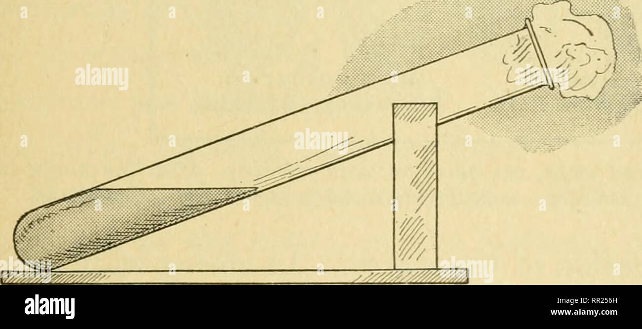 . Advanced biology. Biology; Physiology; Reproduction. OCCURRENCE OF ...