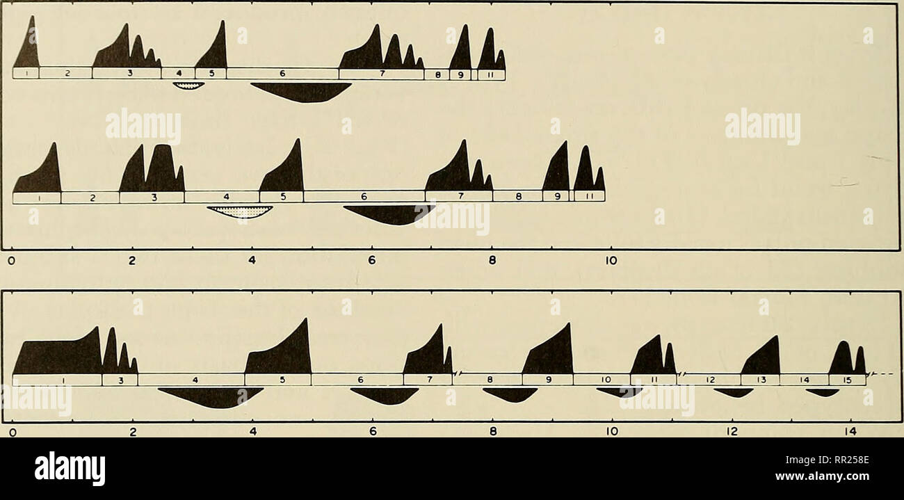 Types Of Graphs High Resolution Stock Photography and Images - Alamy