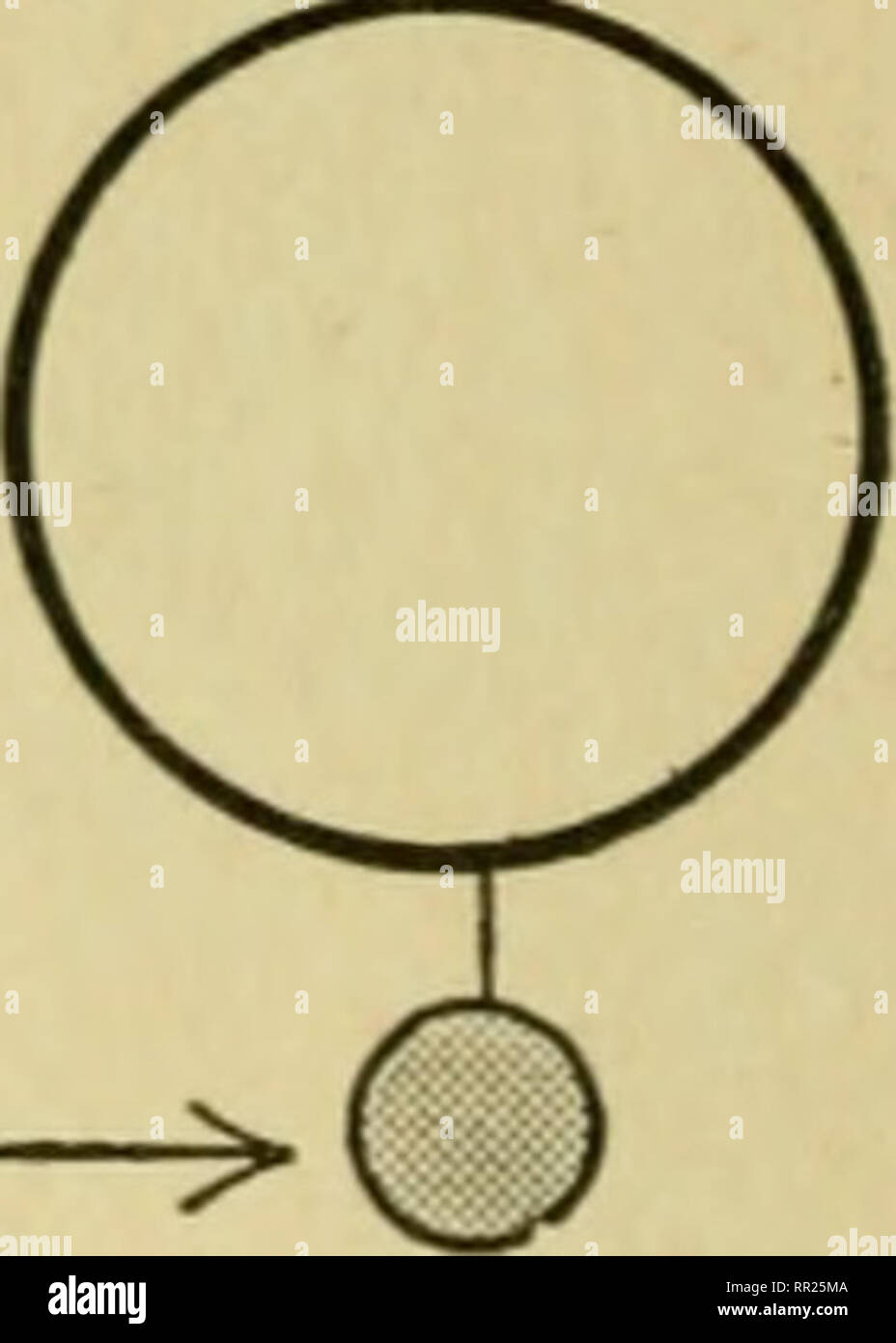 . Advanced biology. Biology; Physiology; Reproduction. fi^^m iplcssm ...