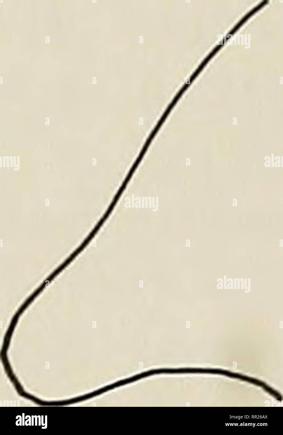 . Advances in herpetology and evolutionary biology : essays in honor of ...