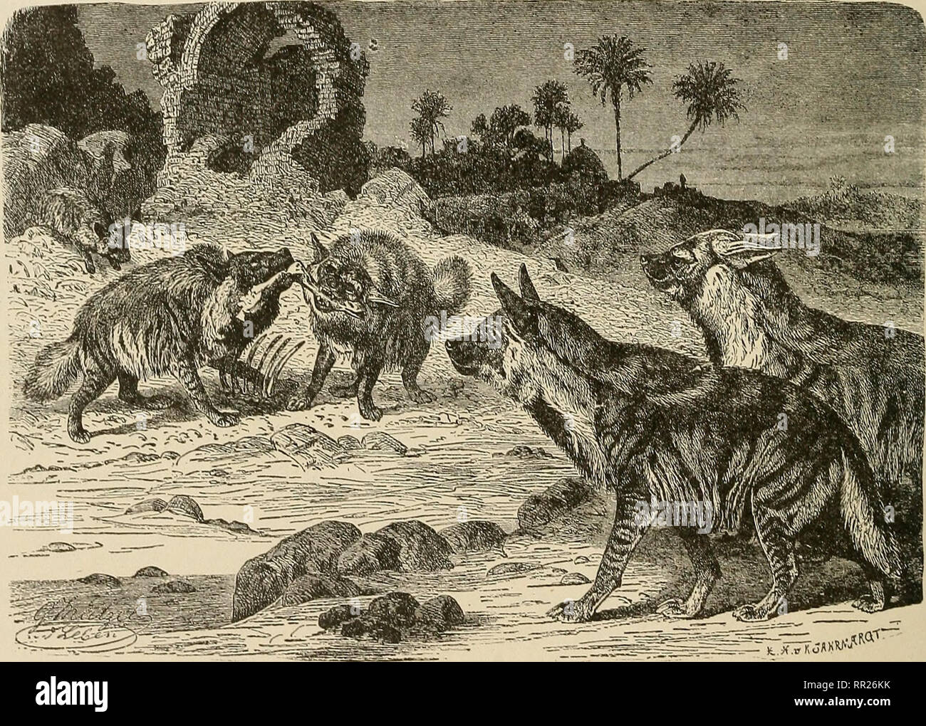 . Adventure--travel--exploration. Roosevelt, Theodore, 1858-1919 ...