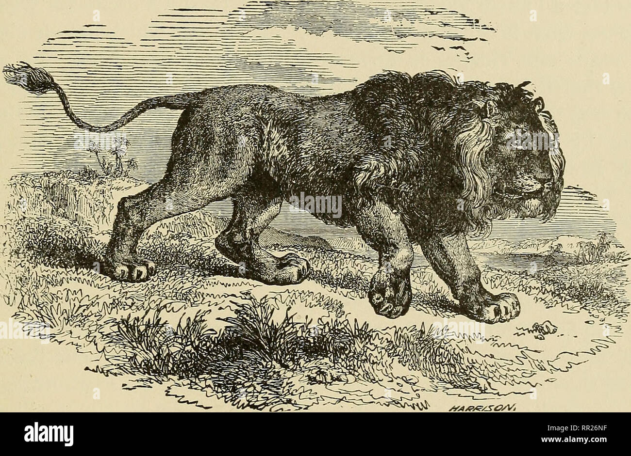 . Adventure--travel--exploration. Roosevelt, Theodore, 1858-1919 ...