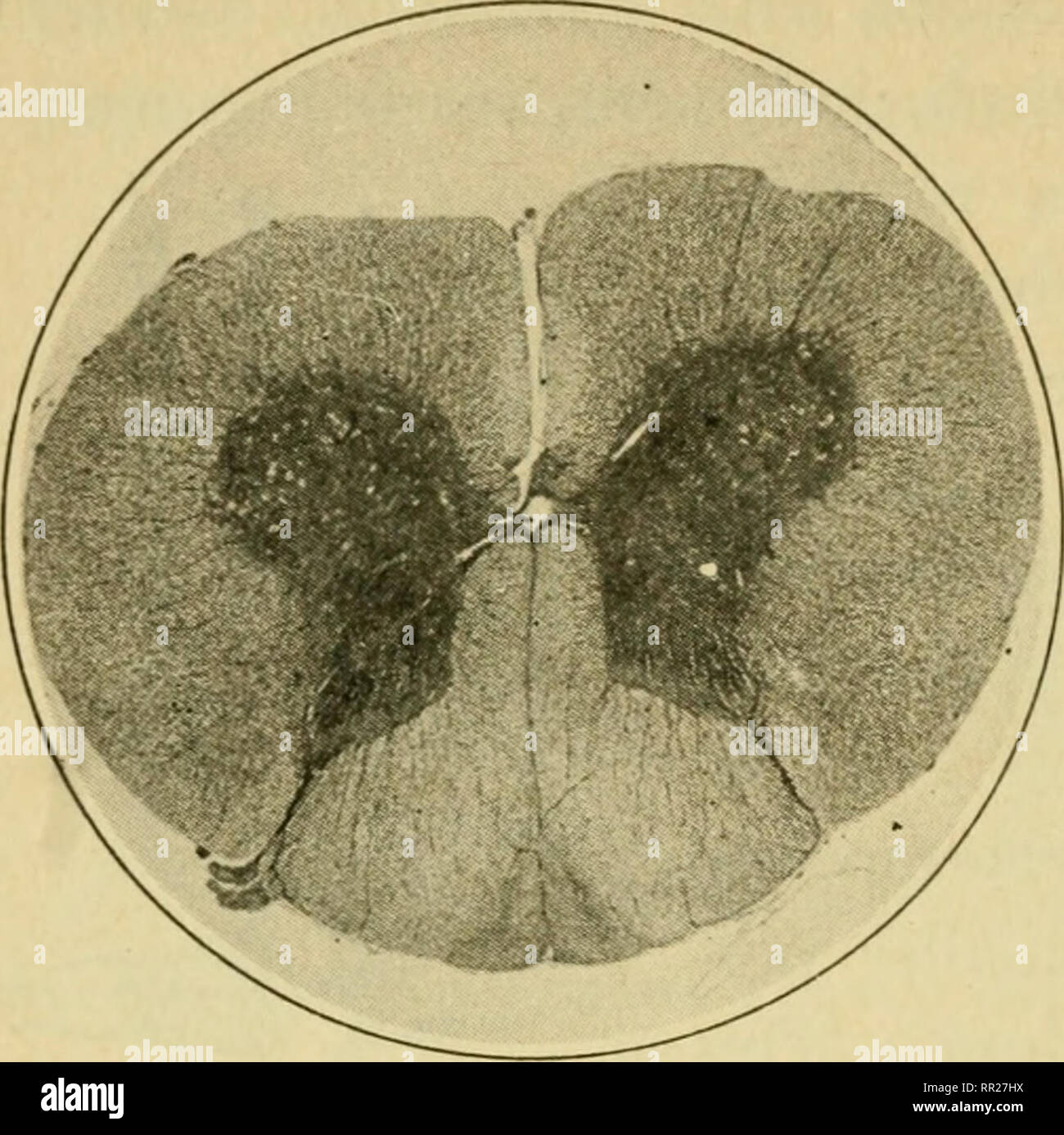 . Advanced biology. Biology; Physiology; Reproduction. 208 THE NERVOUS ...