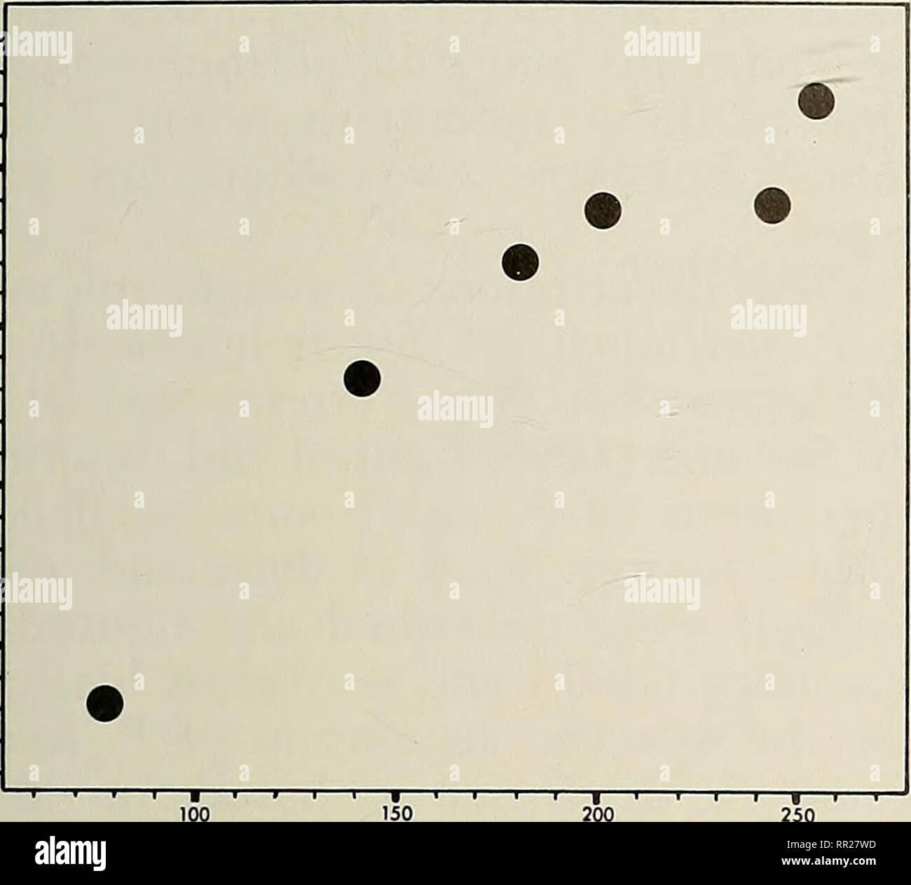 Foramen magnum evolution hi-res stock photography and images - Alamy