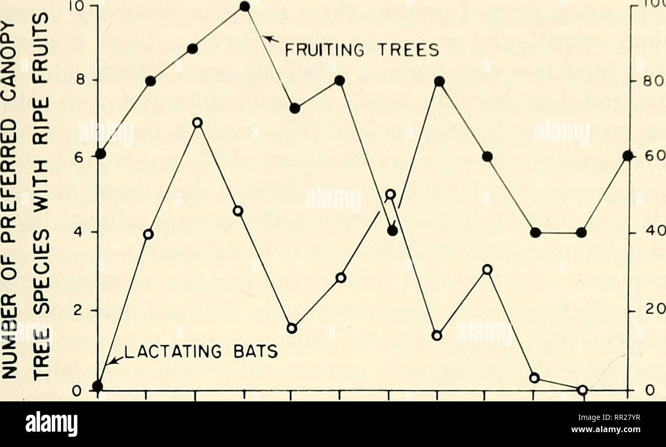 Barro colorado island trees hi-res stock photography and images - Alamy