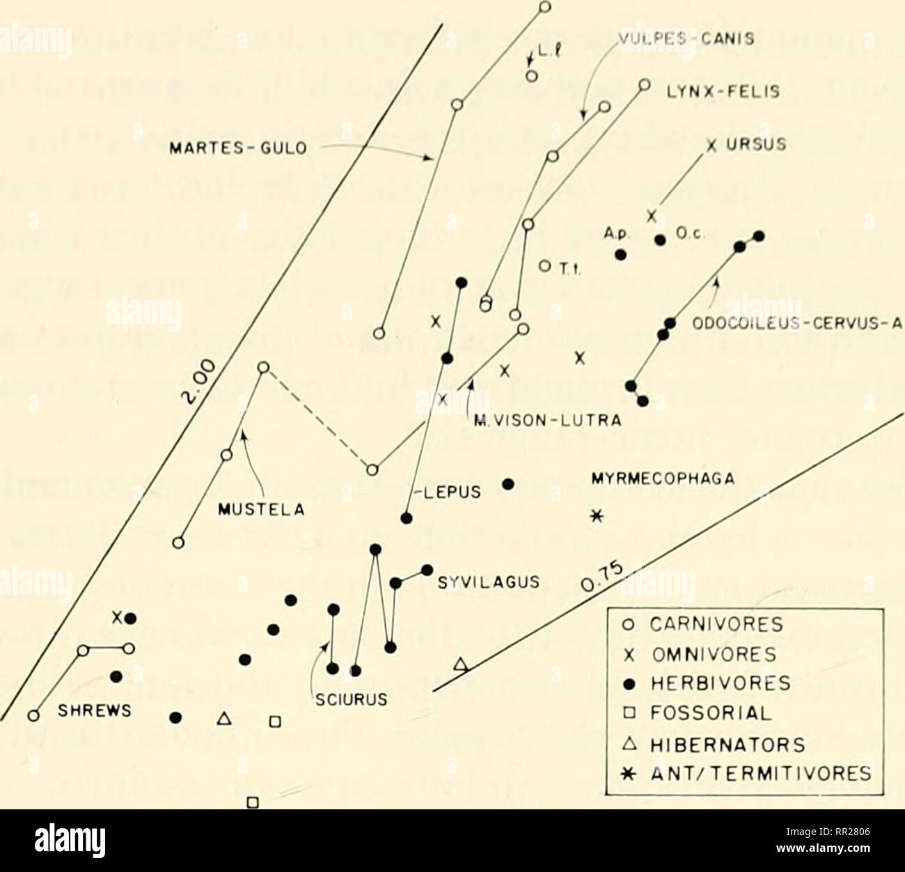Gulo gulo and lynx hi-res stock photography and images - Alamy