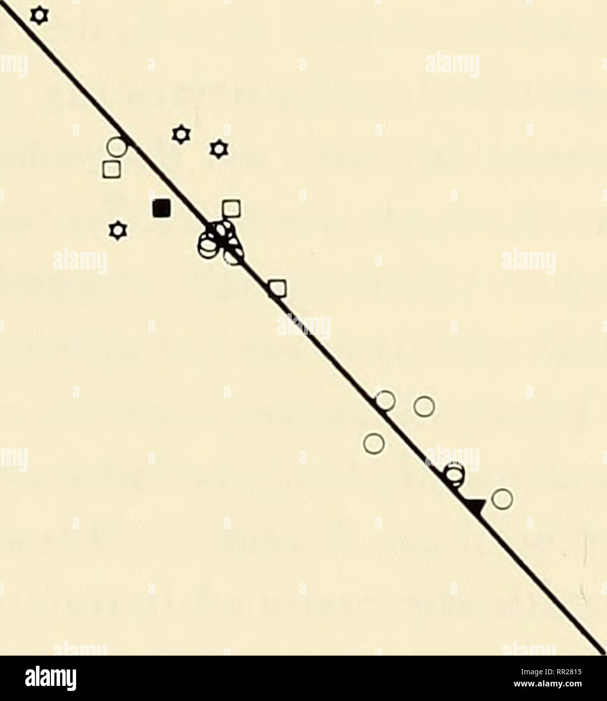 Rhizomyidae hi-res stock photography and images - Alamy