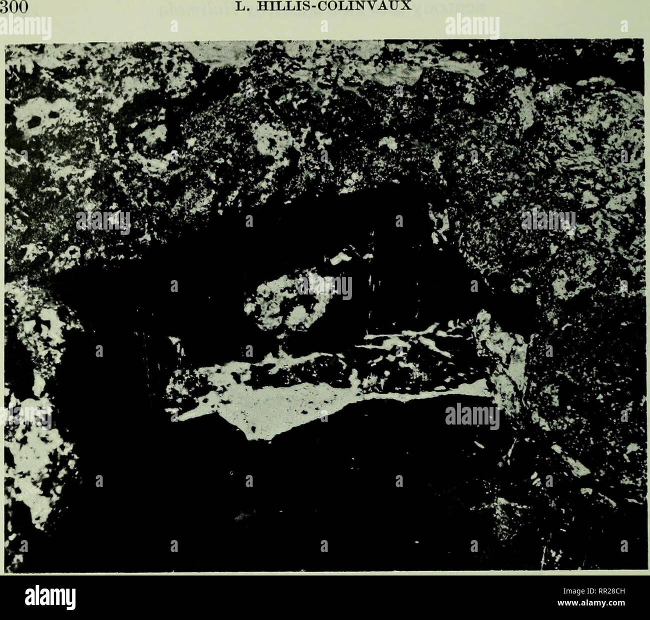 . Advances in marine biology: volume 17. Coral fisheries. L. HILLIS ...