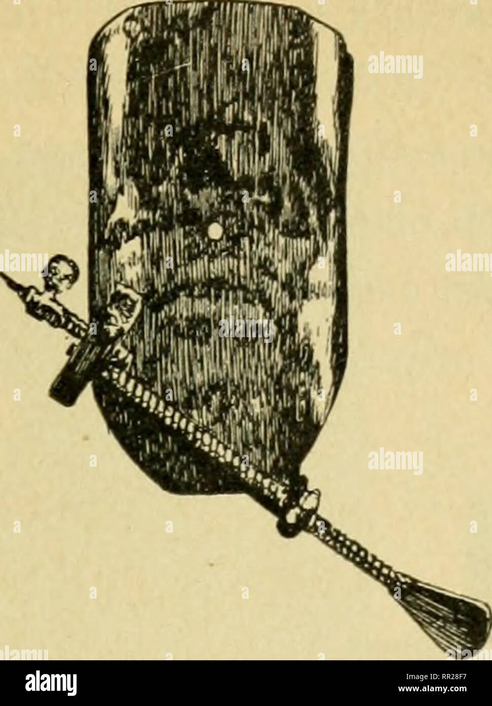 Leeuwenhoek’s microscope hi-res stock photography and images - Alamy