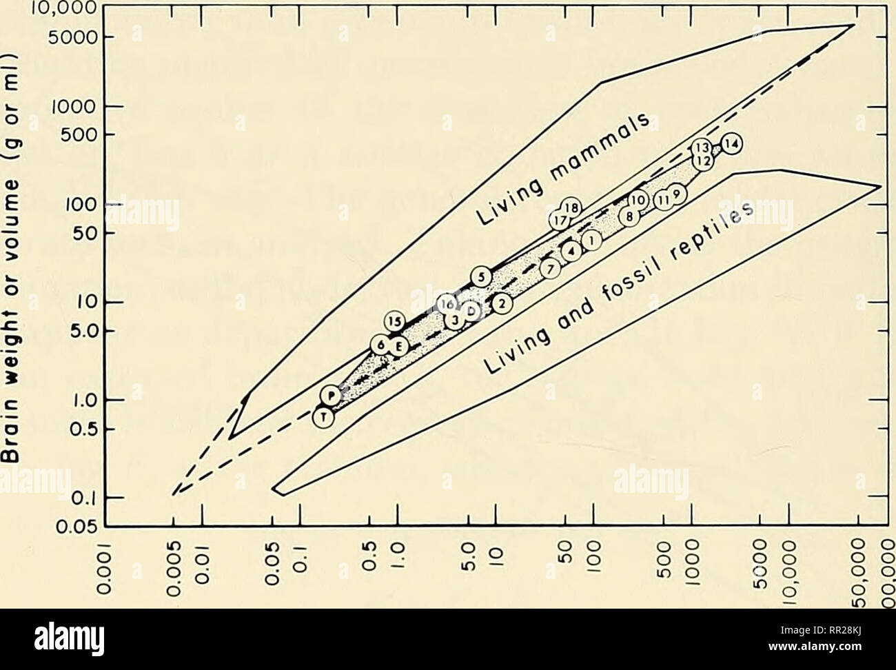 . Advances in the study of mammalian behavior. Mammals. 132 Spec. Publ ...