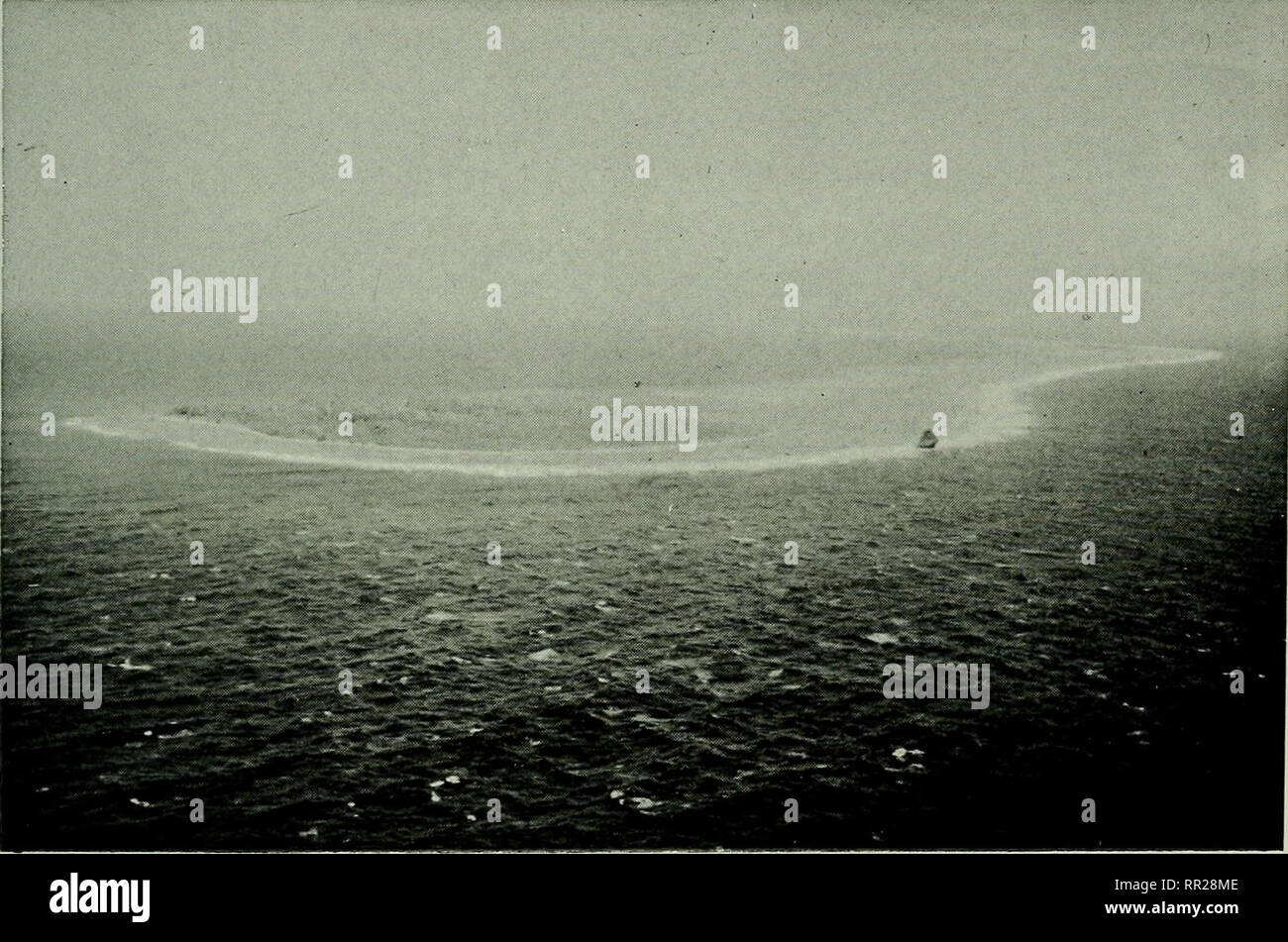 Components of ecosystem hi-res stock photography and images - Alamy