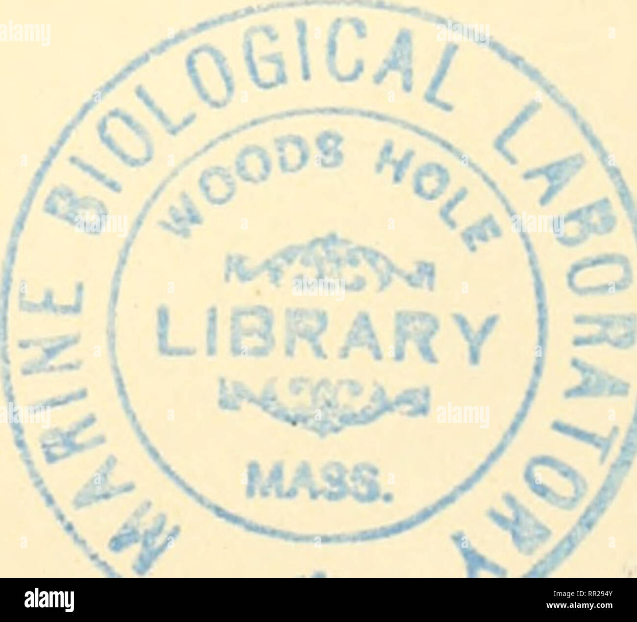 Hydrogen peroxide molecule hi-res stock photography and images - Alamy