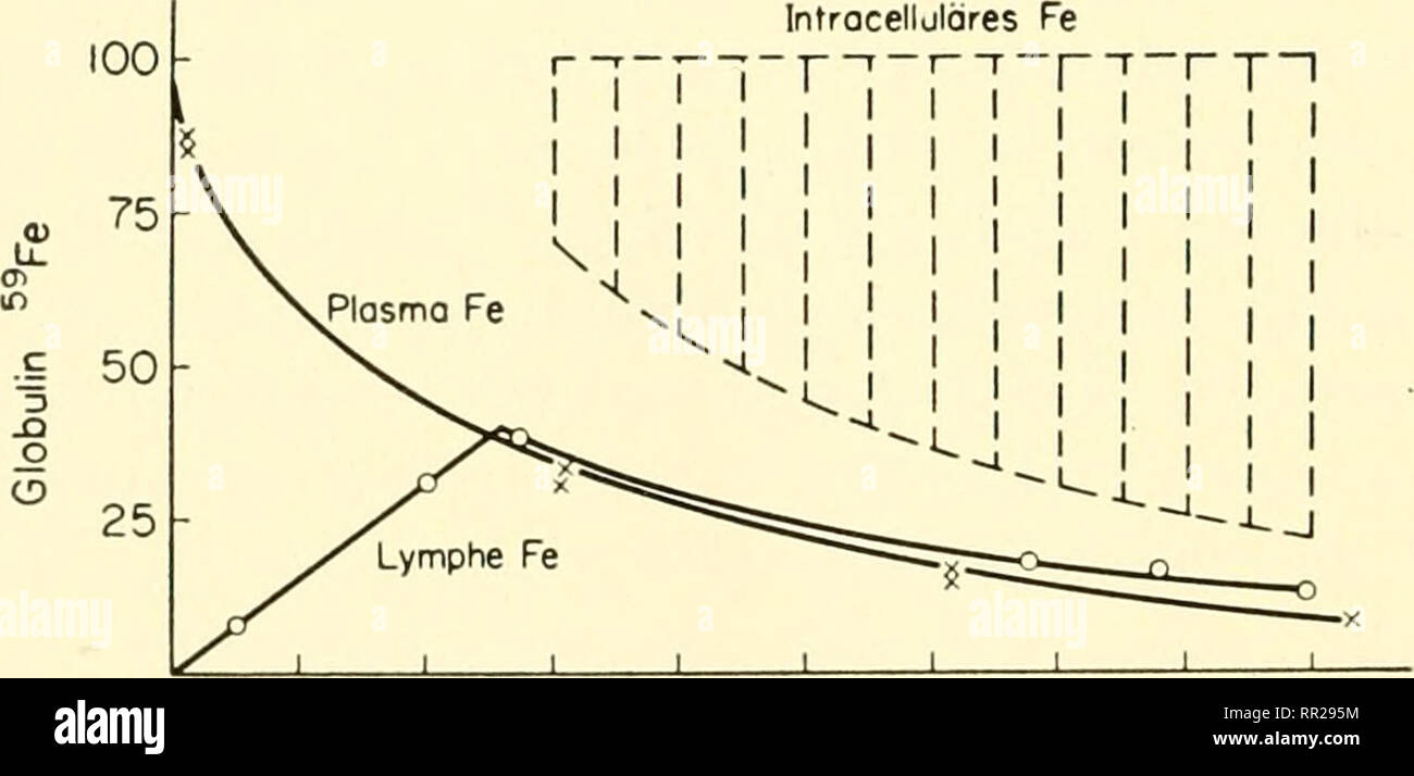 Ka Figure High Resolution Stock Photography and Images - Alamy