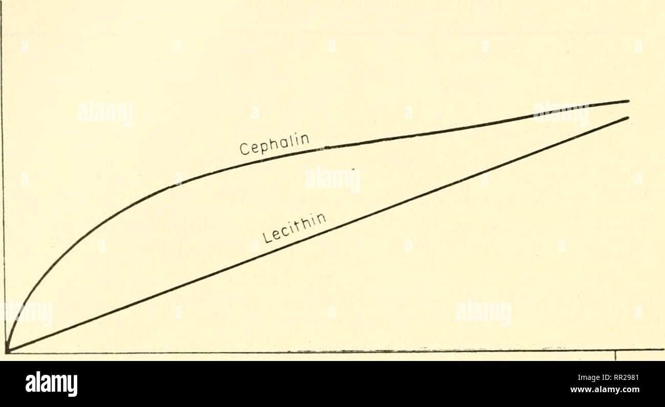Radioactive frogs hi-res stock photography and images - Alamy