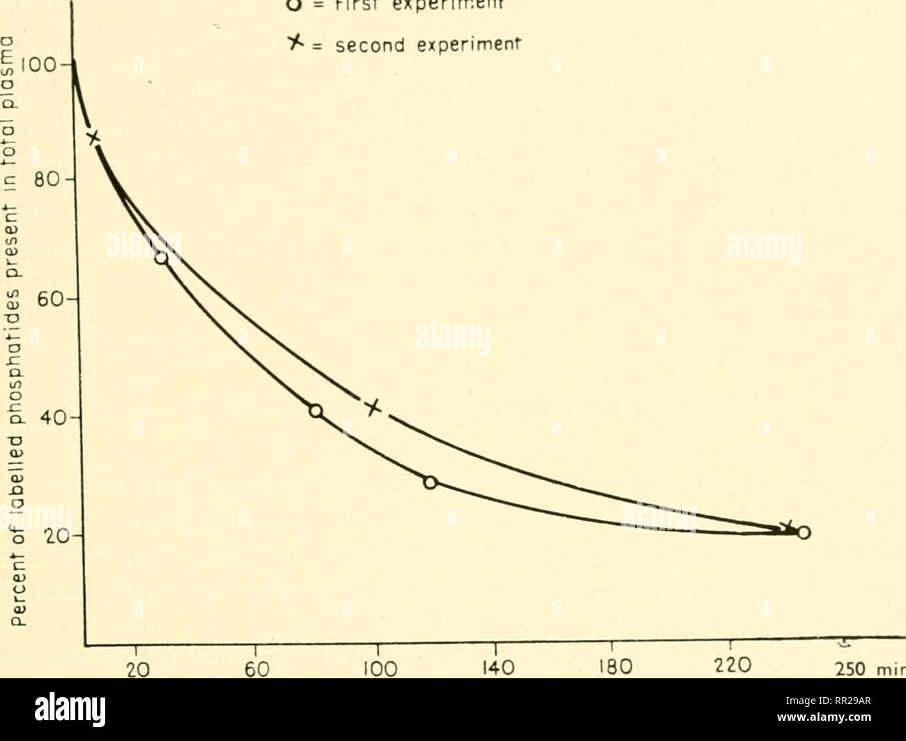 Phosphatides hi-res stock photography and images - Alamy