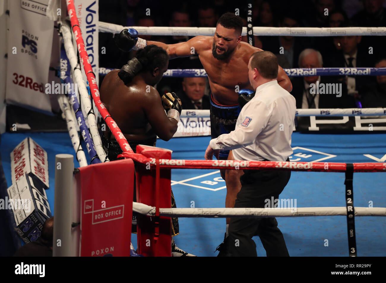 England boxing referee hi-res stock photography and images - Alamy