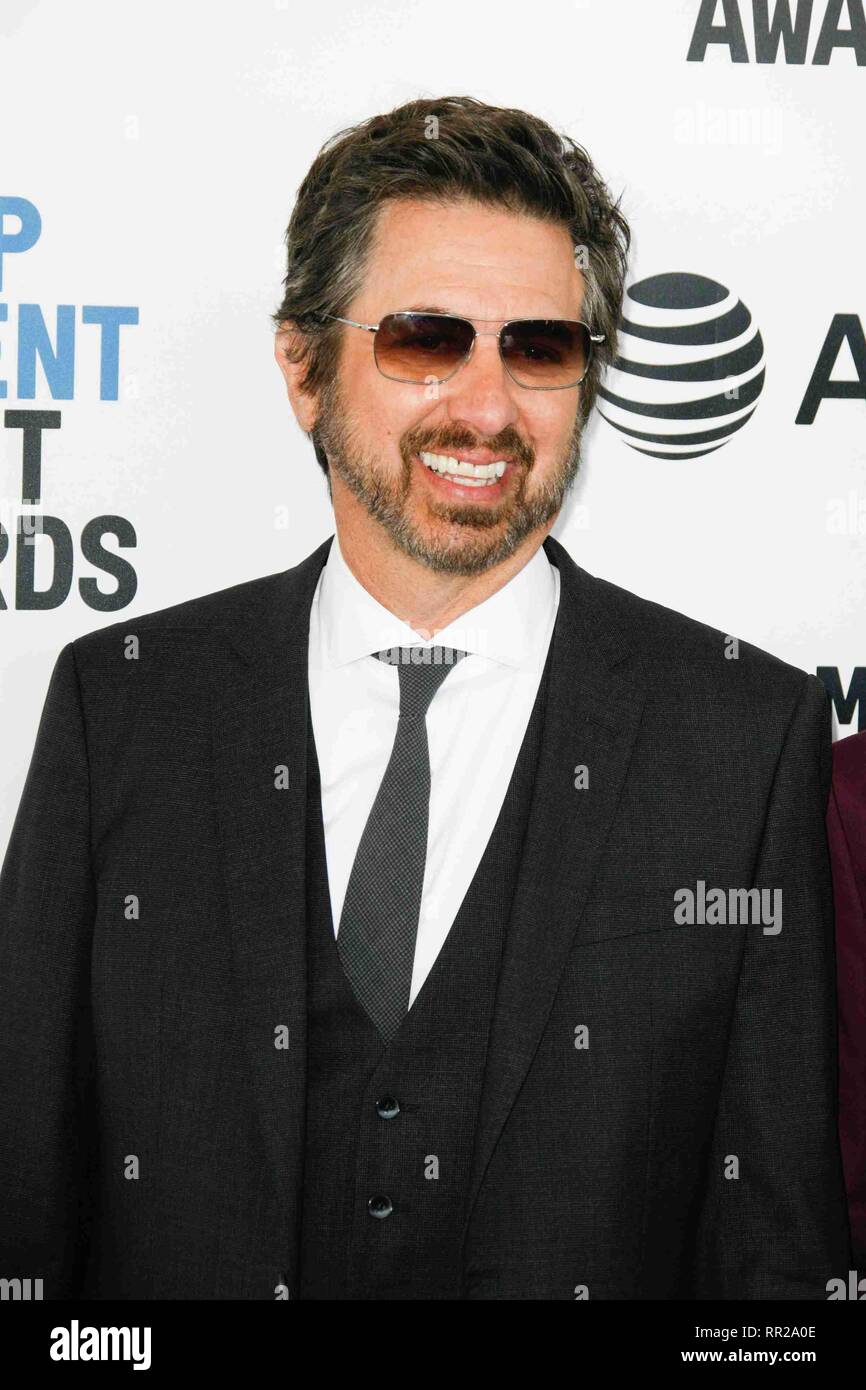 LOS ANGELES, CA - FEBRUARY 23: Ray Romano at the 34th Film Independent ...