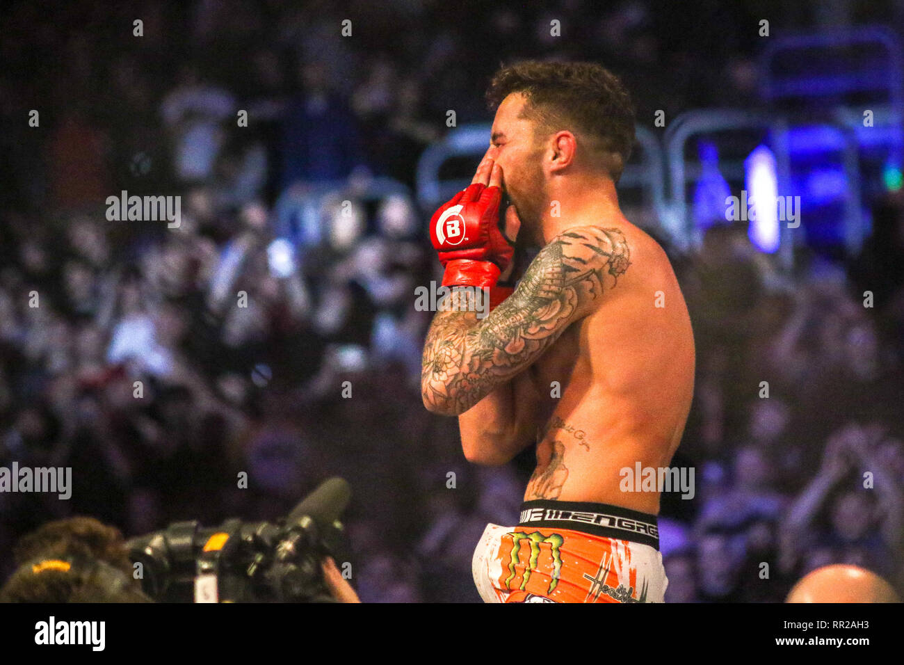Dublin, Ireland, 23rd February 2019 - Bellator217, Dublin. James ...