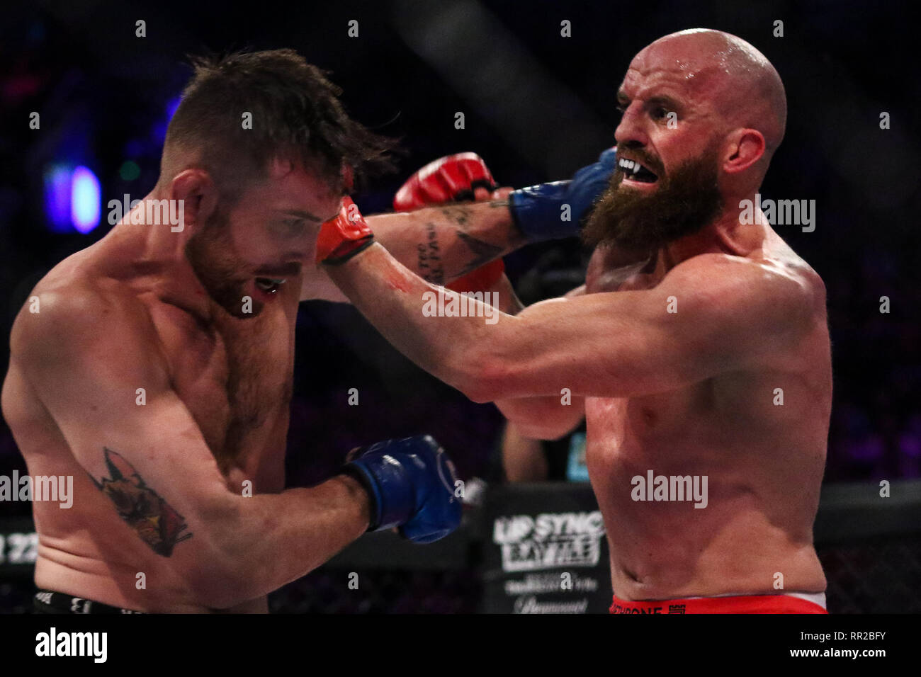 Boxing judges hi-res stock photography and images - Alamy