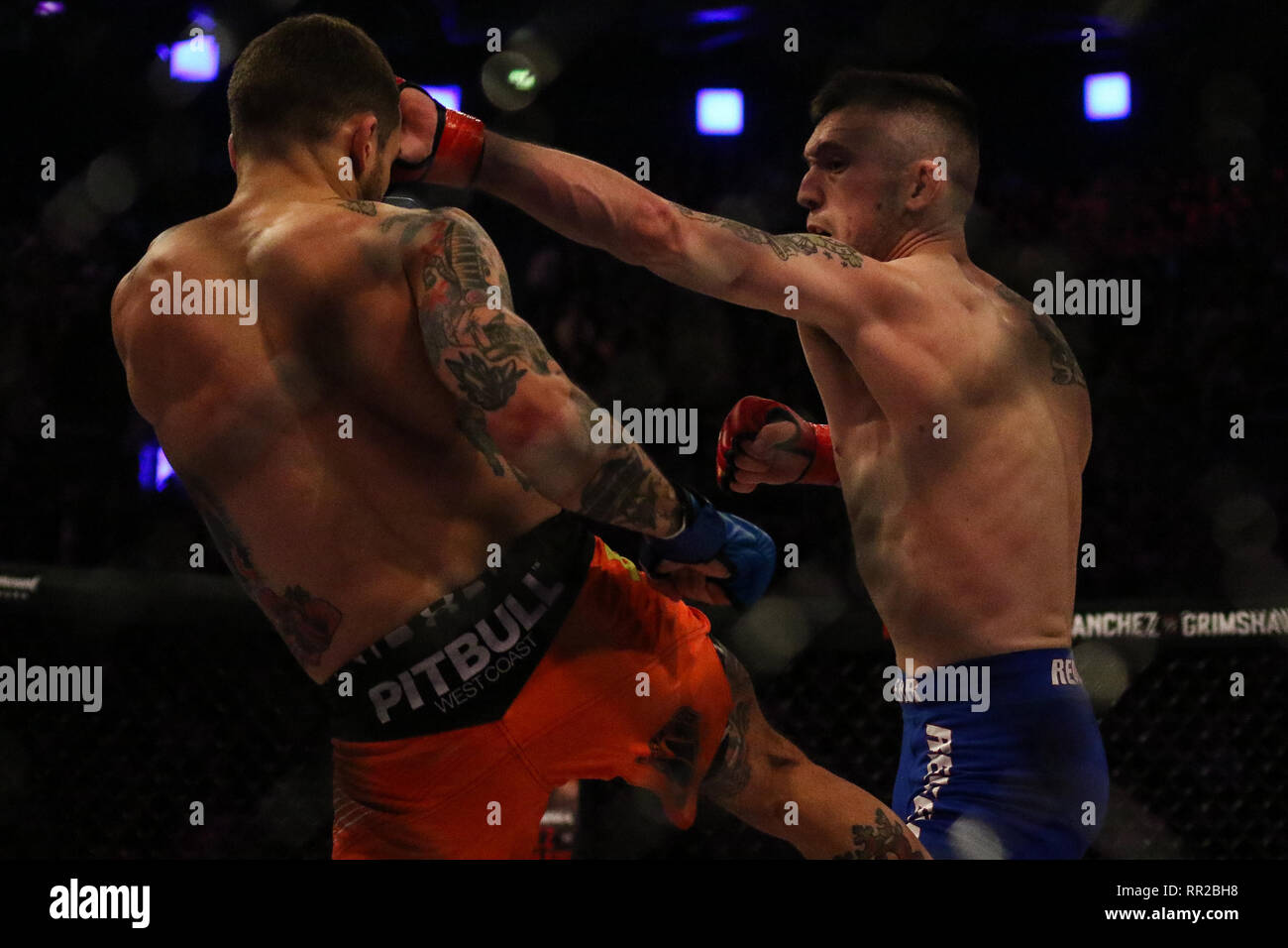 Dublin, Ireland, 23rd February 2019 - Bellator217, Dublin. Richie ...